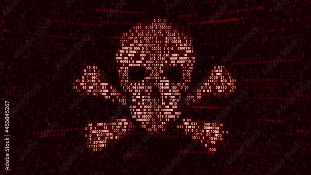 Computer server got attacked with malware by hacker, binary death skull ...