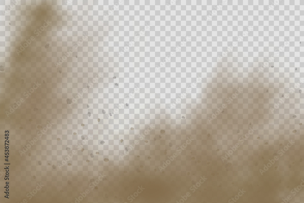 Realistic vector isolated on transparent background.Dust cloud with ...