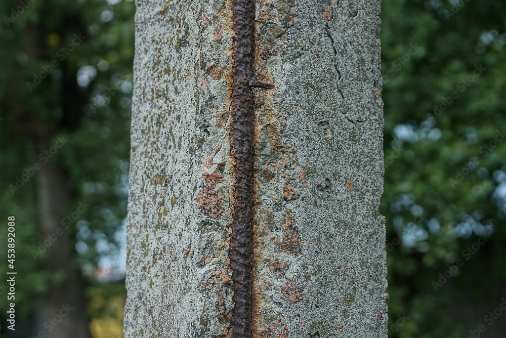 part of a broken gray old concrete pillar with brown iron rusty rebar ...