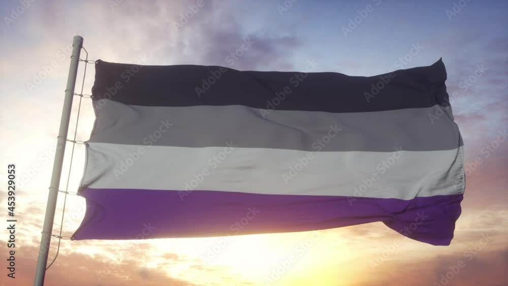 Asexual flag waving in the wind, sky and sun background Stock Video ...