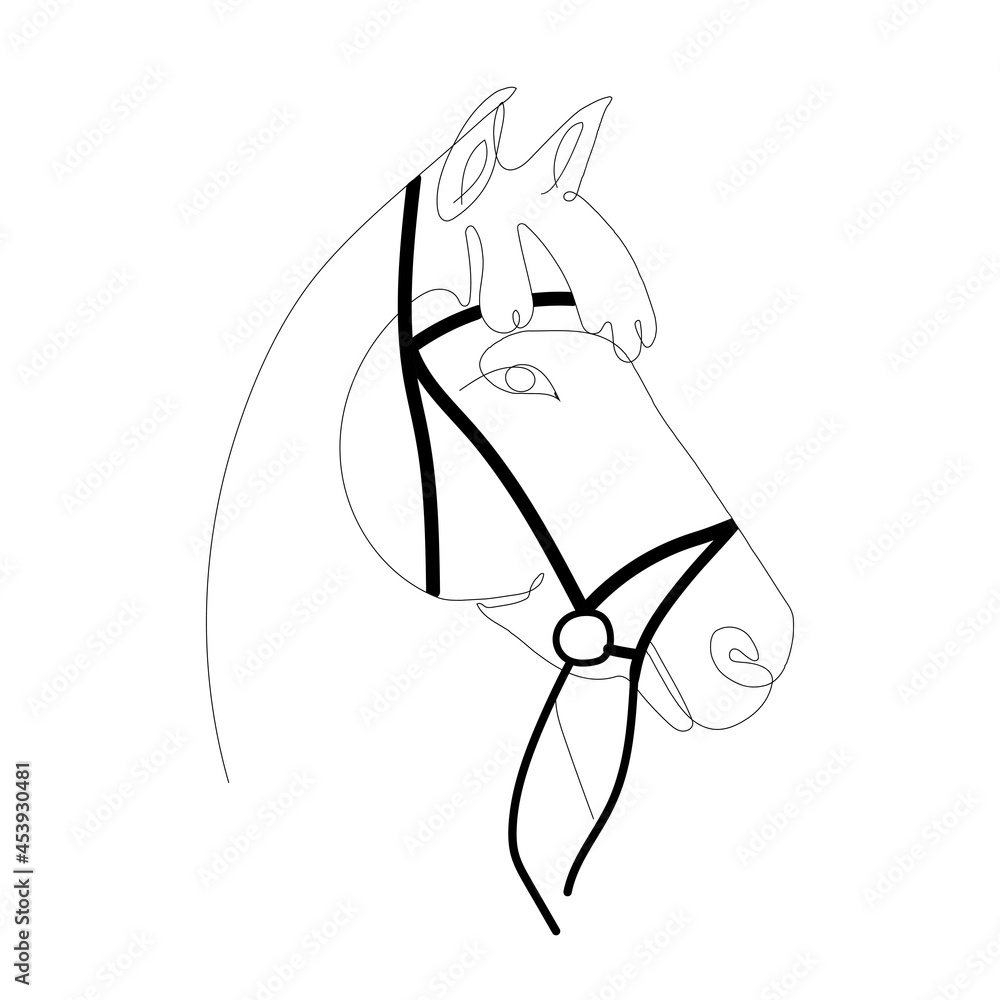 Horse. Vector illustration of a horse. One line-art isolated on white ...