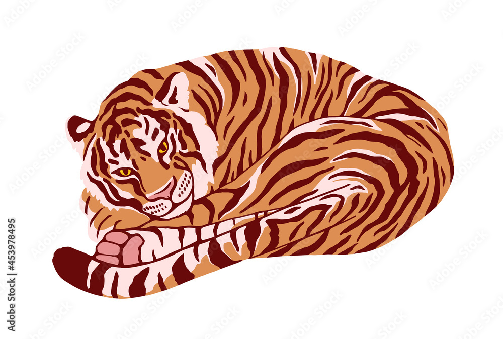 tiger lies curled up. modern flat illustration isolated on white ...