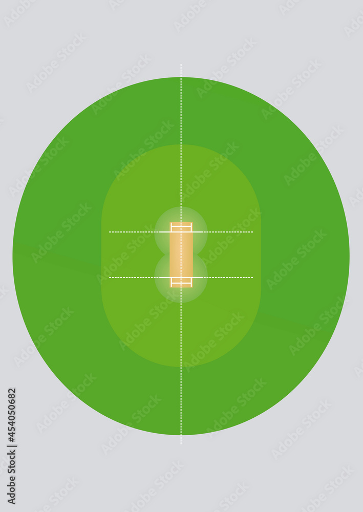 Cricket field isolated. vector illustration Stock Vector | Adobe Stock