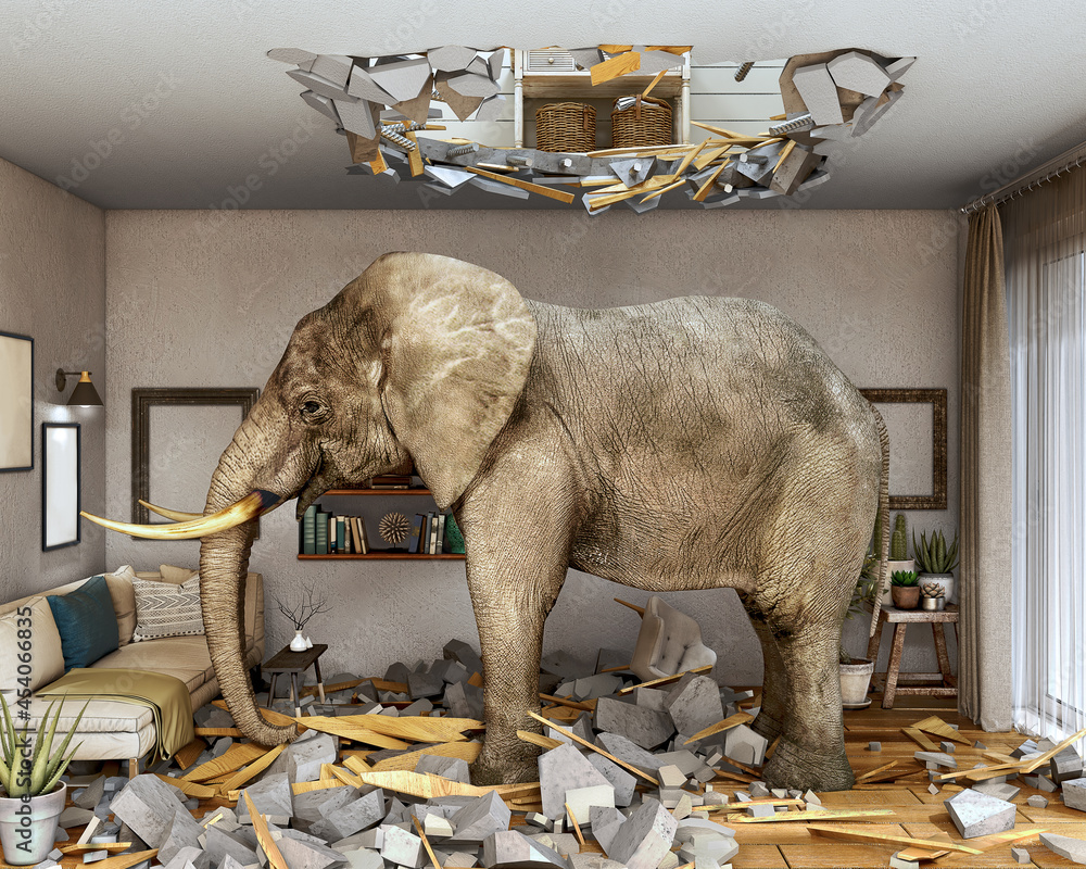 Destroyed interior concept, elephant in the middle of room, fell from ...