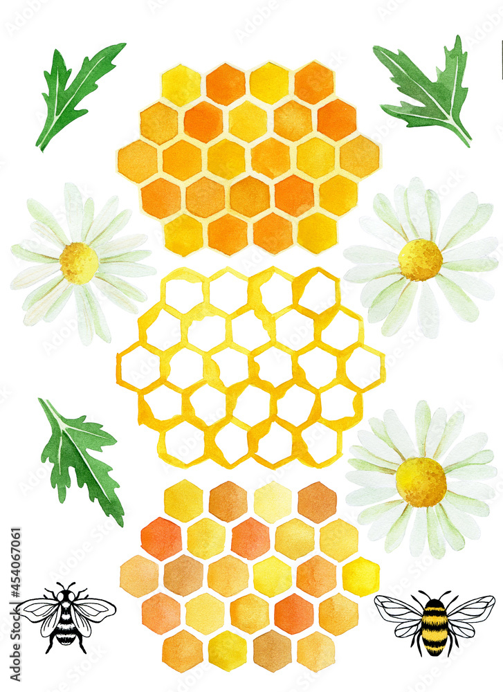 watercolor set on the theme of honey, beekeeping, farming. isolated on ...