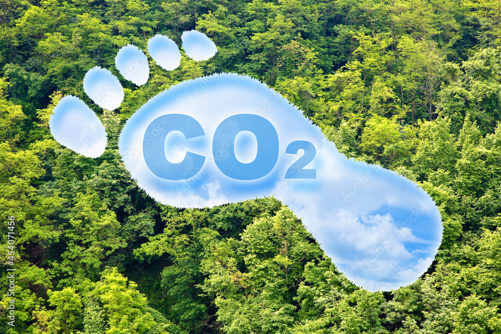 Carbon footprint concept with CO2 text and footprint shape against ...