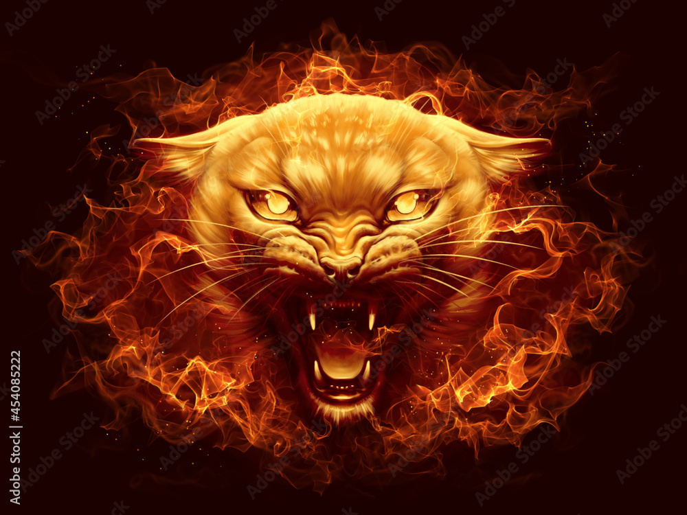 Fire cat head with flame digital painting. Stock Illustration | Adobe Stock