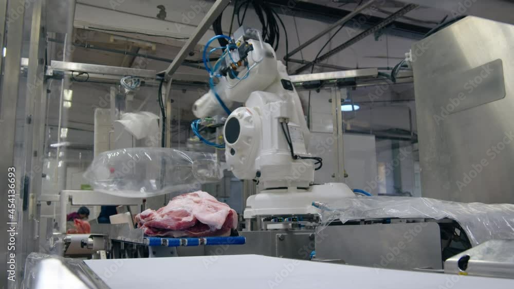 A robot hand packs pieces of meat passing on a moving belt next to it ...