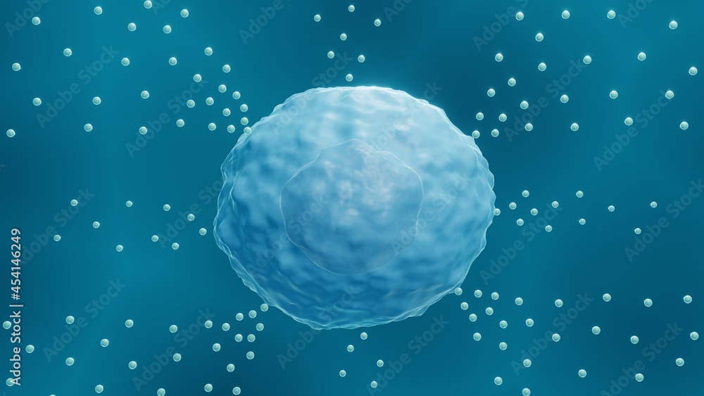 Mast cell releasing histamine, Immune system cell 3d illustration Stock Illustration | Adobe Stock