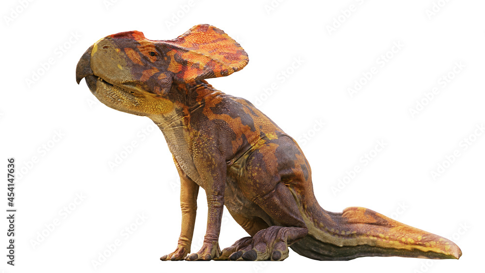 Protoceratops, dinosaur from the Late Cretaceous period, sitting ...