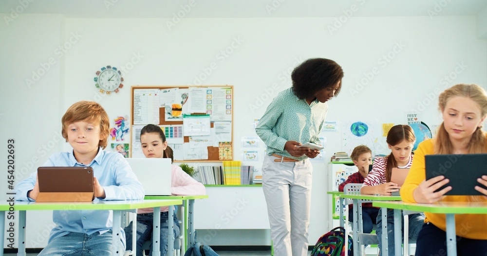African American young pretty female teacher with gadget teaching ...