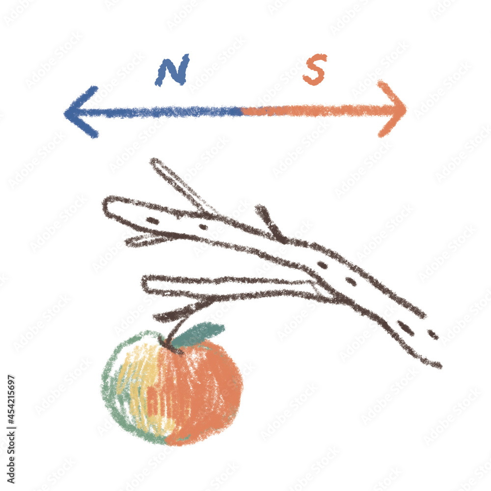 Cardinal directions, points of the compas, North, South illustration ...