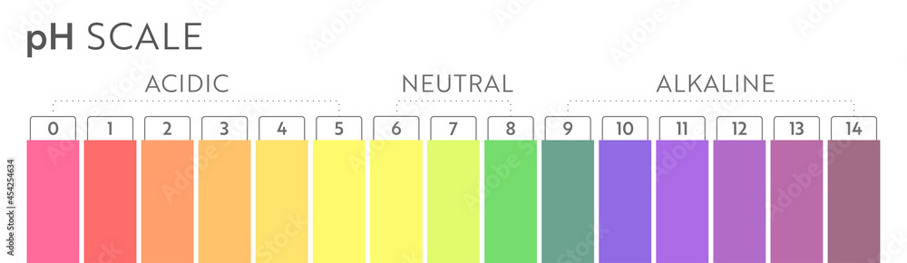 pH Value scale chart. Acid-base balance infographic. Education Poster ...