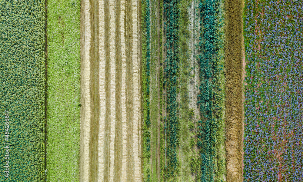 Aerial drone image of fields with diverse crop growth based on ...