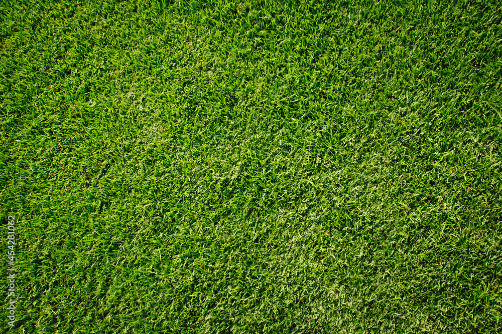 artificial green grass texture for background Stock Photo | Adobe Stock
