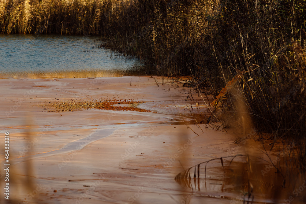 the pipe discharges waste into the water. contamination of the ...