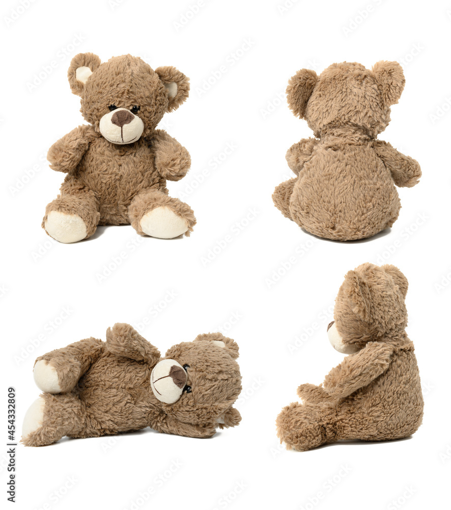 cute brown teddy bear against white isolated background in different ...