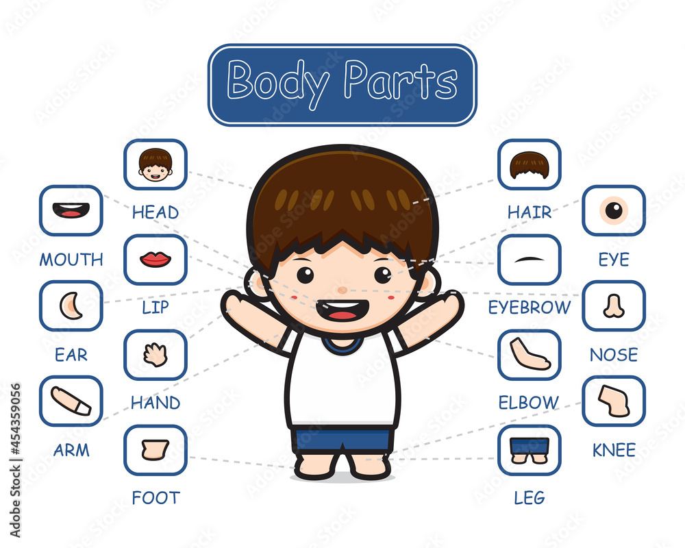 Happy cute kid boy body part anatomy cartoon icon clipart illustration ...