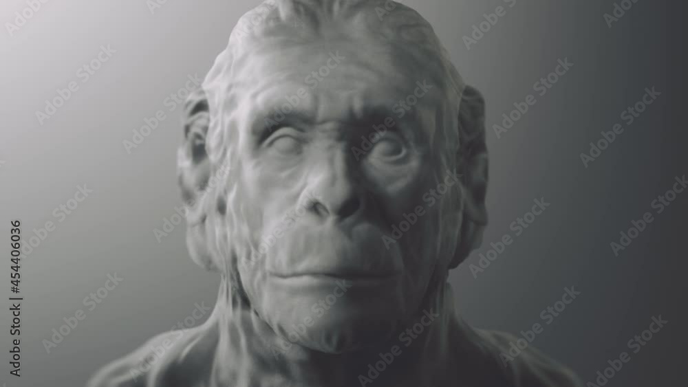 Human evolution time-lapse. From ape, primitive man to homo sapiens ...
