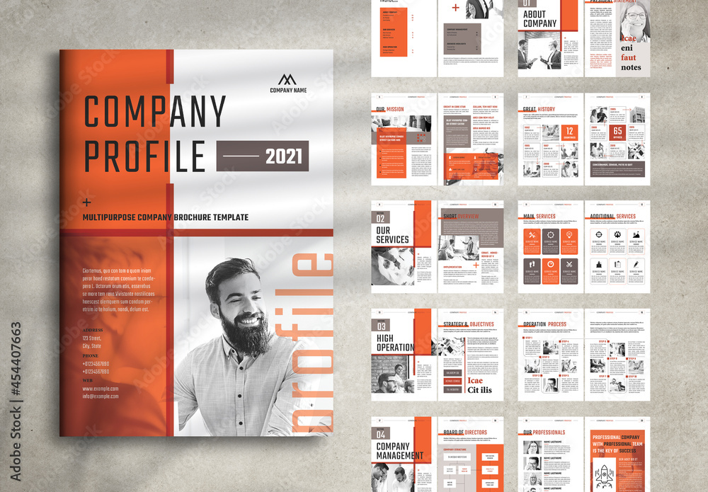Company Profile Layout Stock Template | Adobe Stock