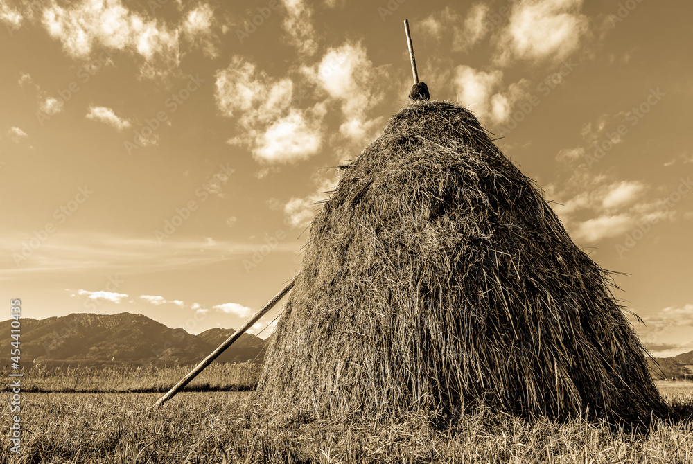 hay bale at a farm Stock Photo | Adobe Stock