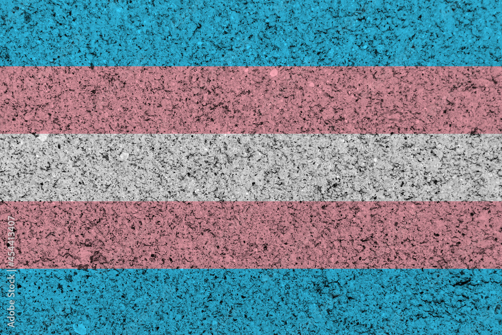Flag of the transsexual collective. Flag on decorative plaster or ...