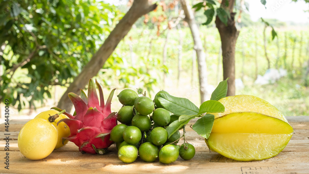 EXOTIC TROPICAL FRUITS SUCH AS QUENEPA, MAMONCILLO OR LIMONCILLO ...