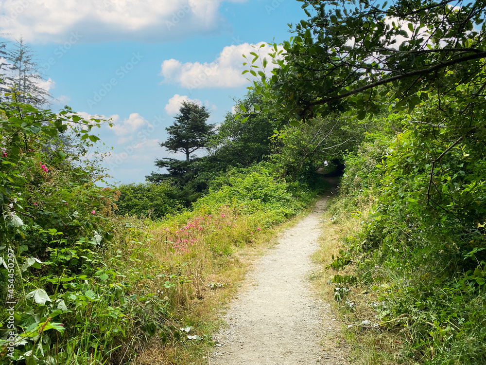 beautiful mountain forest cliff path hiking trail through natural arch ...