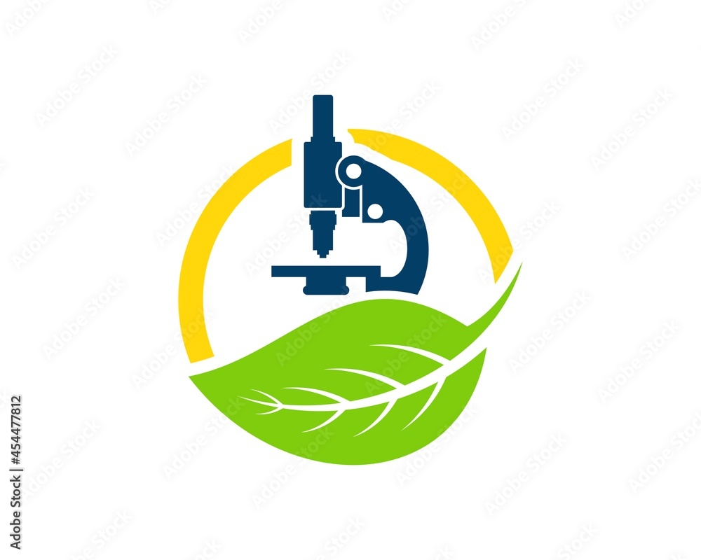 Green nature leaf with laboratory microscope on the top Stock Vector ...