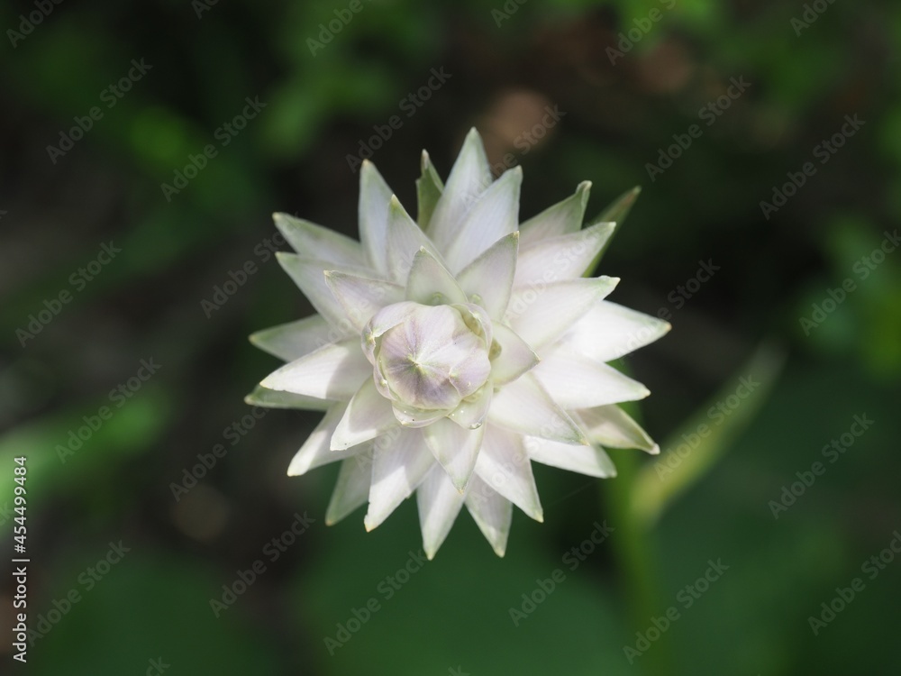 Kiryu Suidoyama Park and its surroundings Stock Photo | Adobe Stock