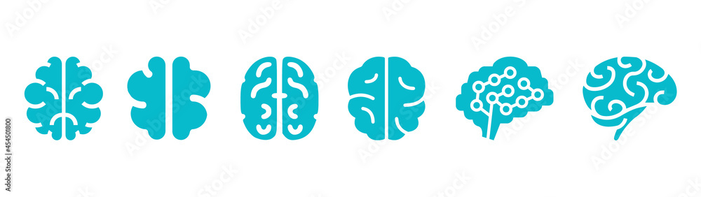 brain, the science of studying the human brain, a group of different ...