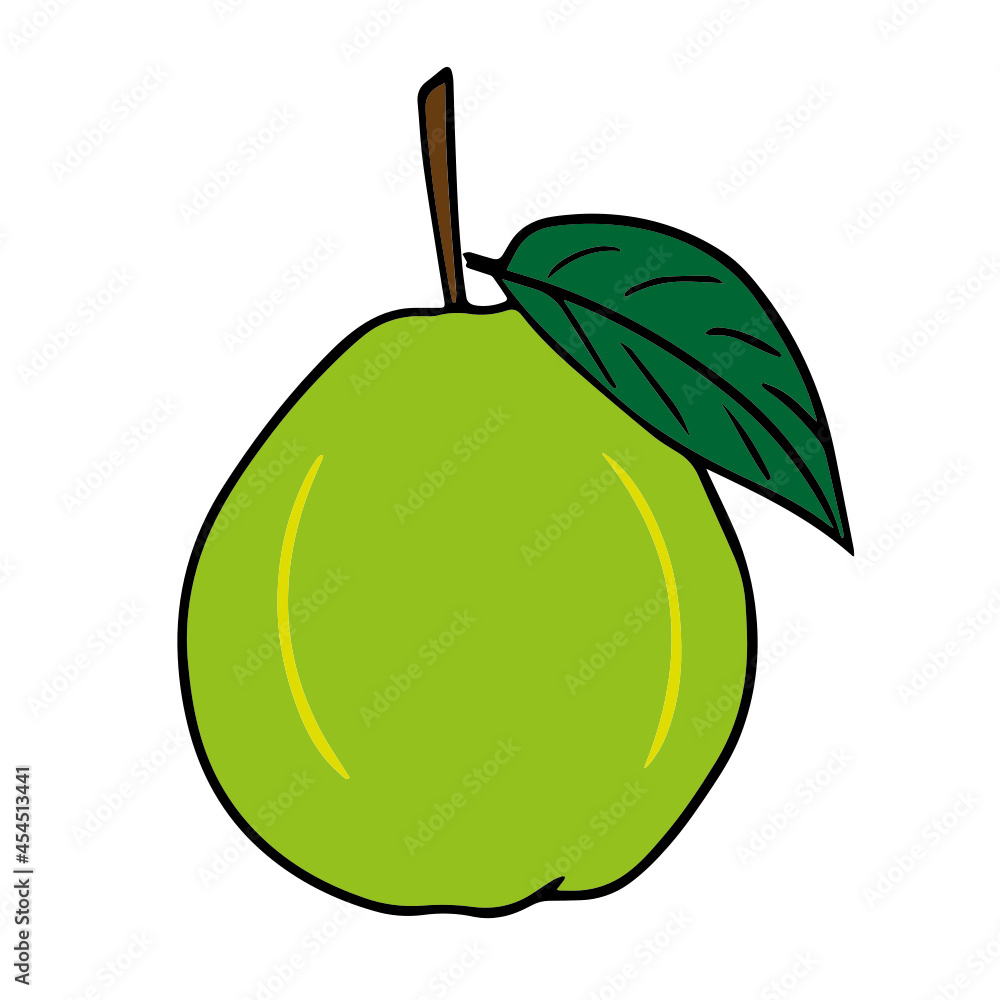 Guava Fruit Line Art Colour Sketch Creature Animal Outline Silhouette ...