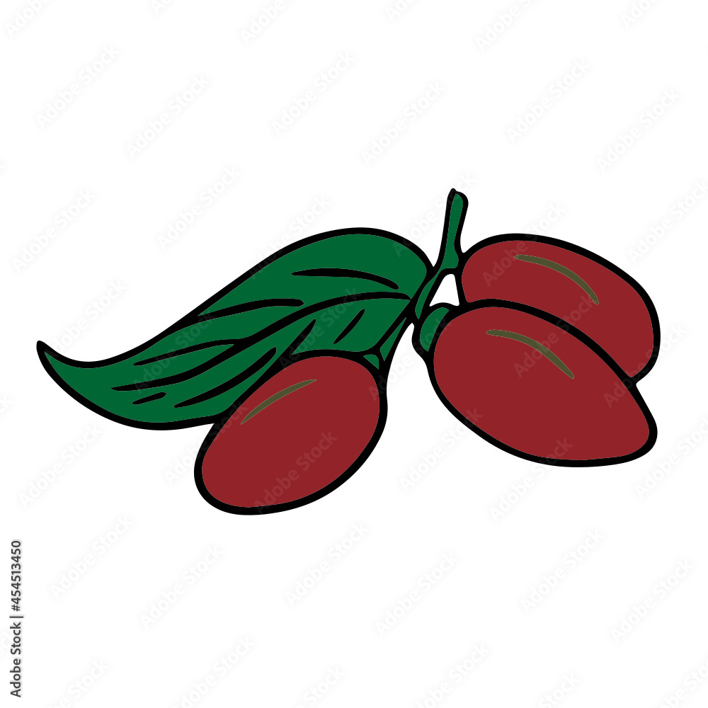 Goji Berries Fruit Line Art Colour Sketch Creature Animal Outline ...