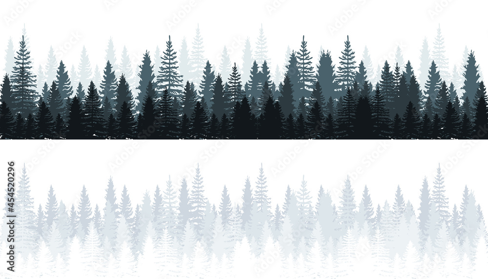Winter Forest Vector