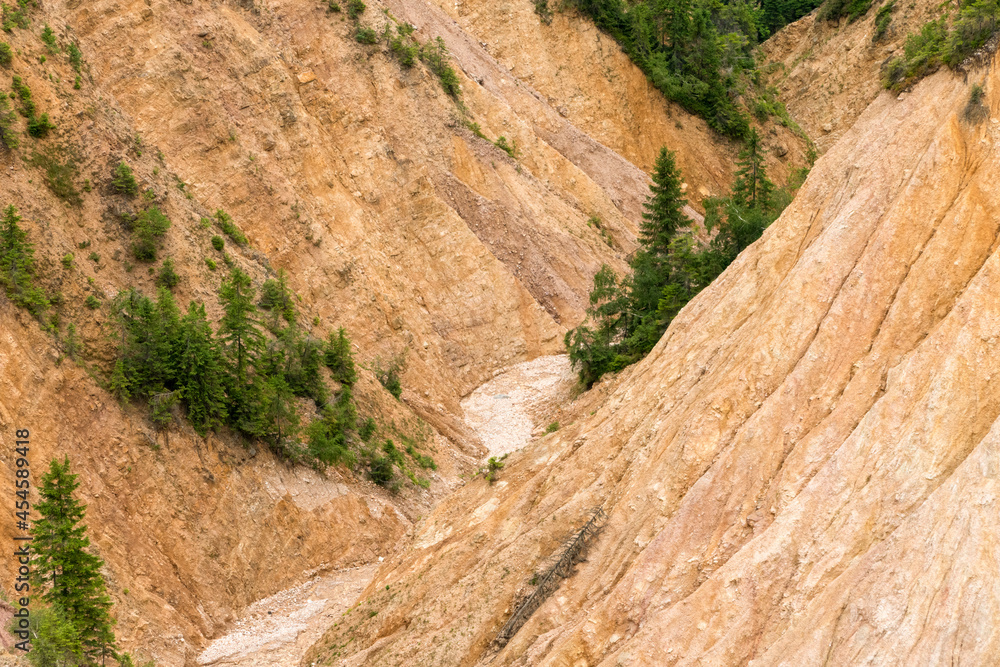 Ruginoasa ravine nature reserve in Apuseni mountains from Romania with ...