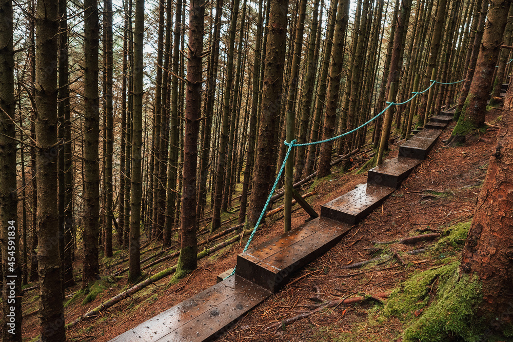 Foot path in a forest with anti slippery surface. Park infrastructure ...