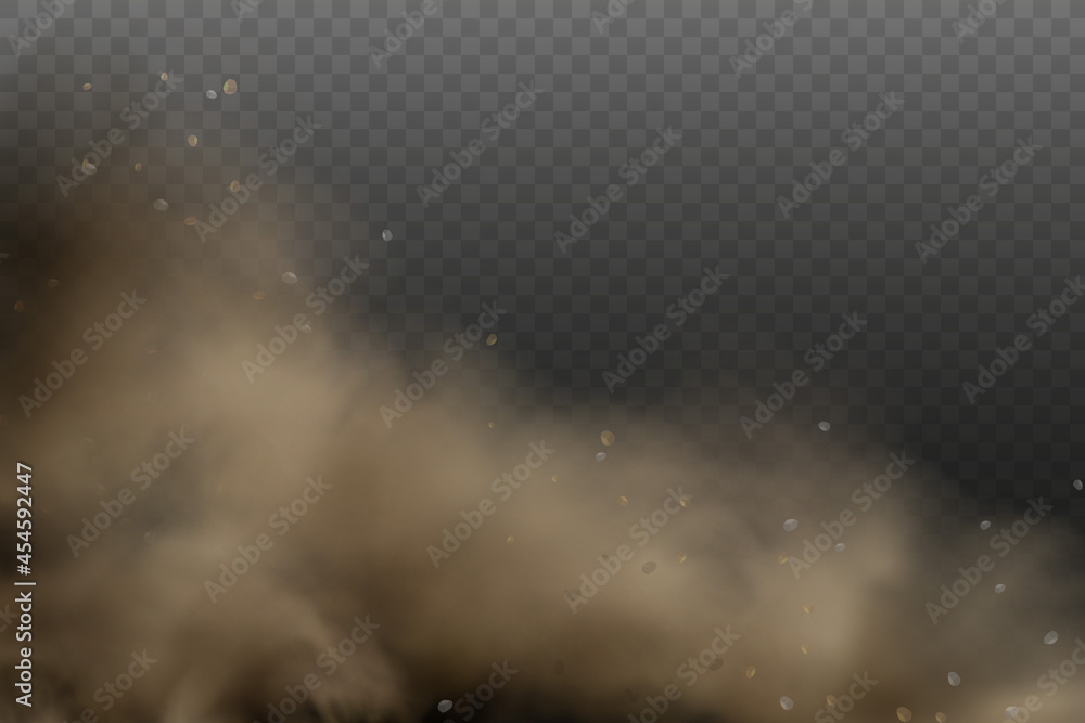 Realistic vector isolated on transparent background.Dust cloud with ...