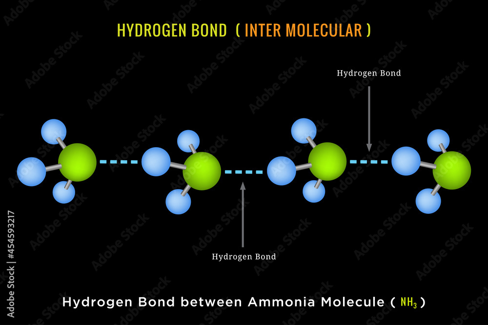 Hydrogen Bond, Inter molecular Hydrogen Bond between Water Molecule ...