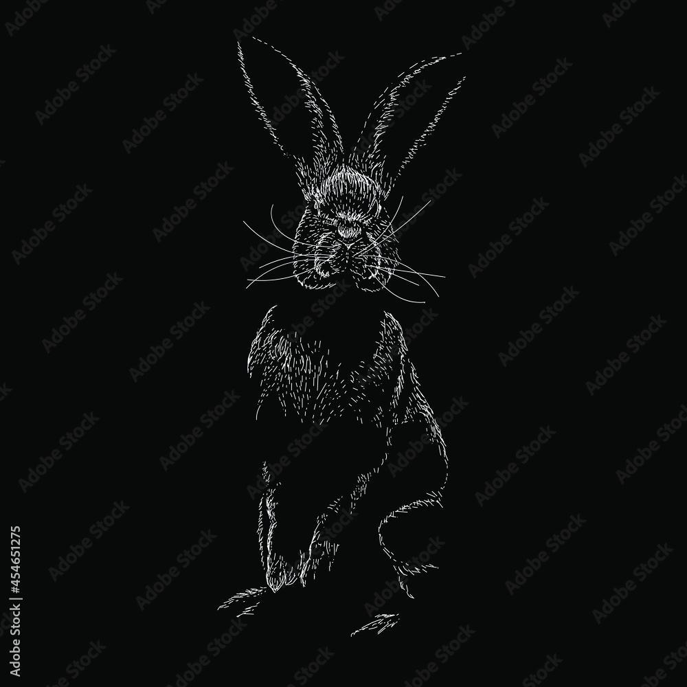 rabbit vector drawing illustration. vector isolated element on the ...