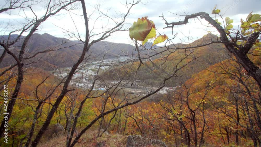 Vidéo Stock Camera is moving forward, zooming in view of a leaf waving ...