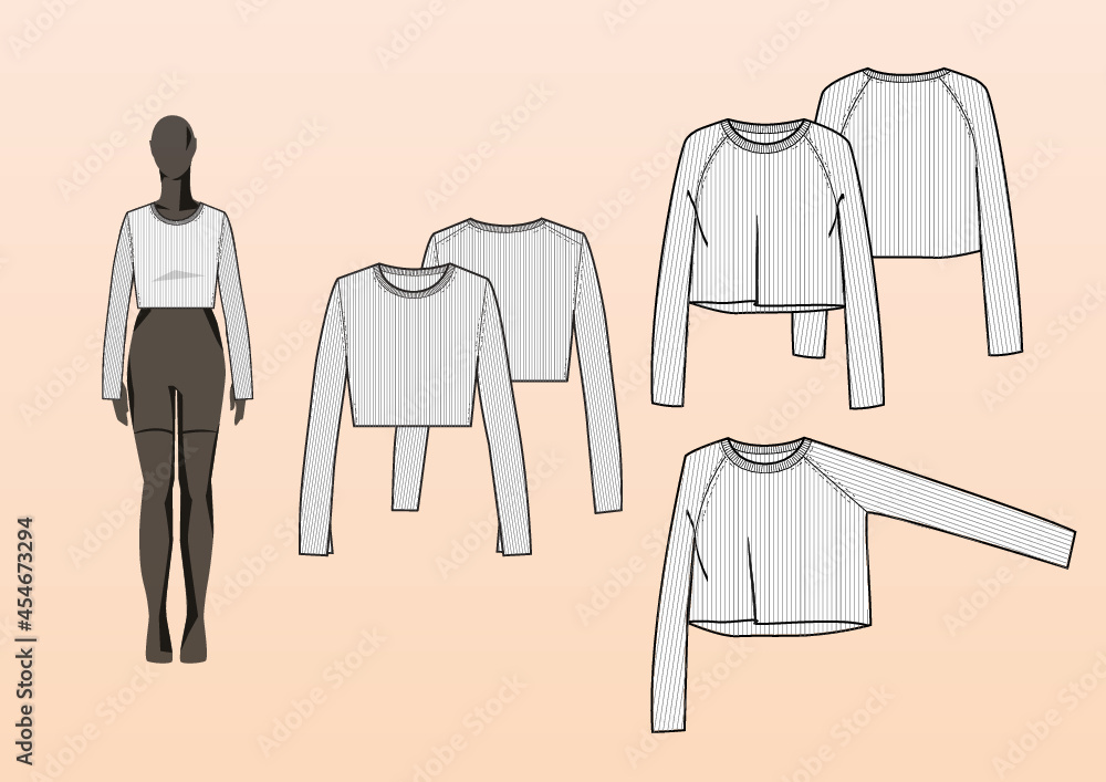 RIB KNIT, CREWNECK, CROP TOP. Fashion design technical flat sketch ...