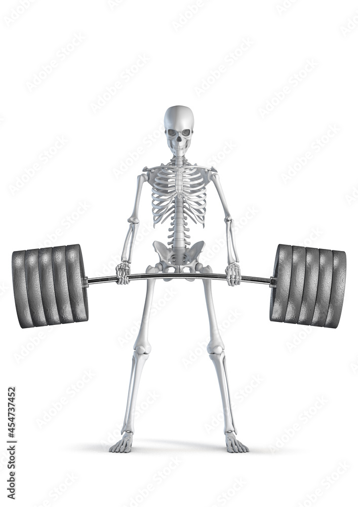 Fitness skeleton deadlift - 3D illustration of male human skeleton ...