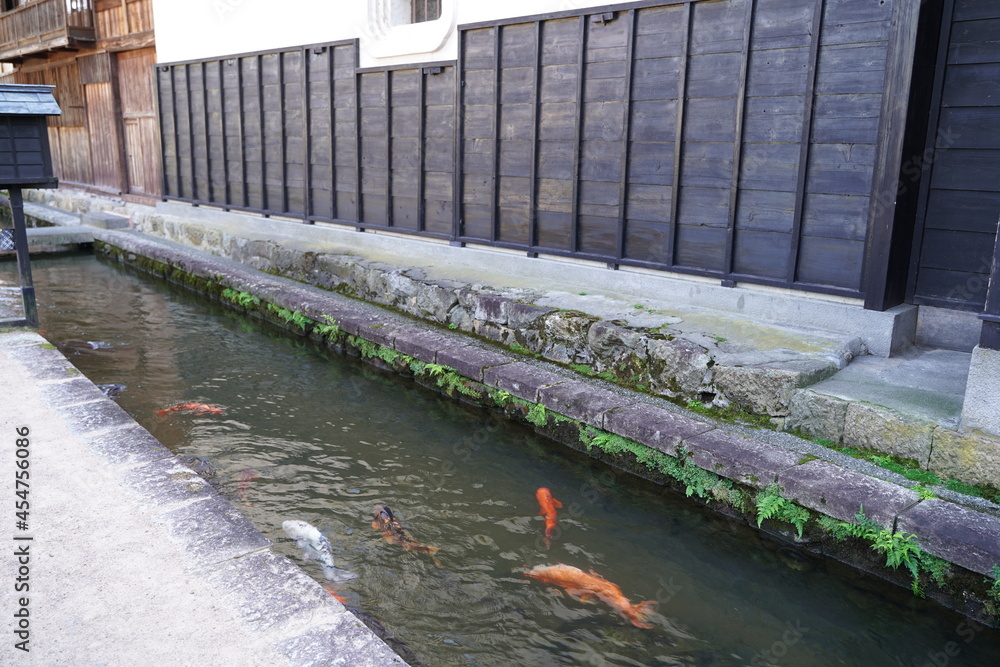 Carps are swimming in a Seto river in Hidafurukawa Gifu japan. Stock ...