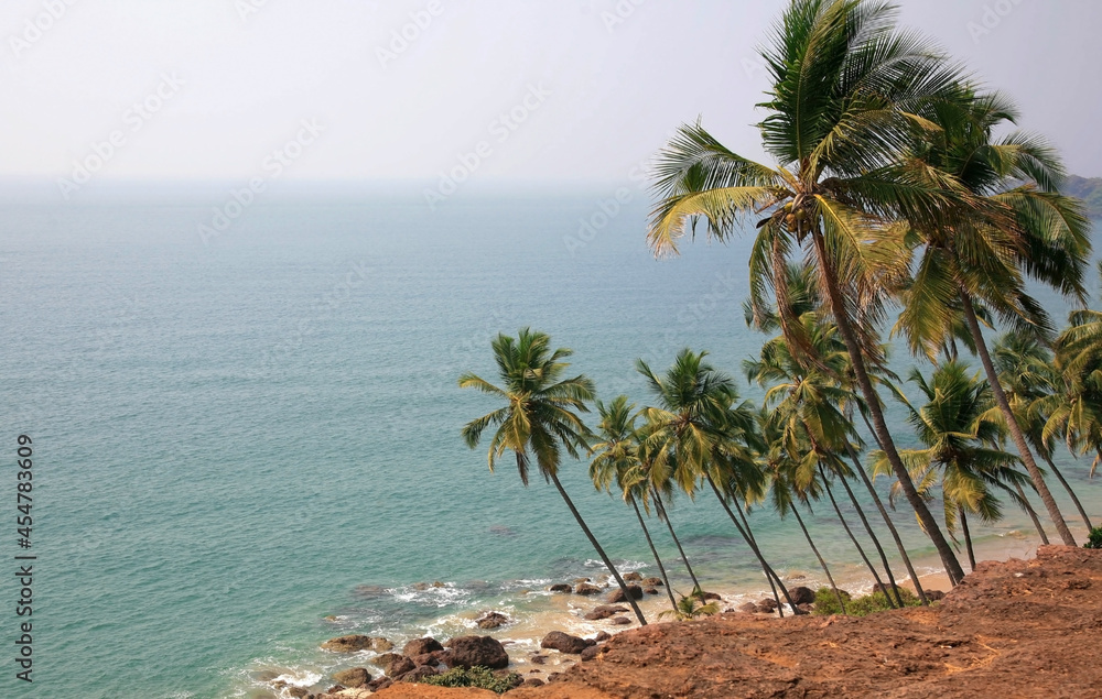 Coconut trees over the sea on the beach of Cabo de Rama in Goa India ...