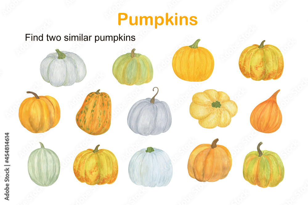 Find two similar pumpkins educational activity for children, fall ...