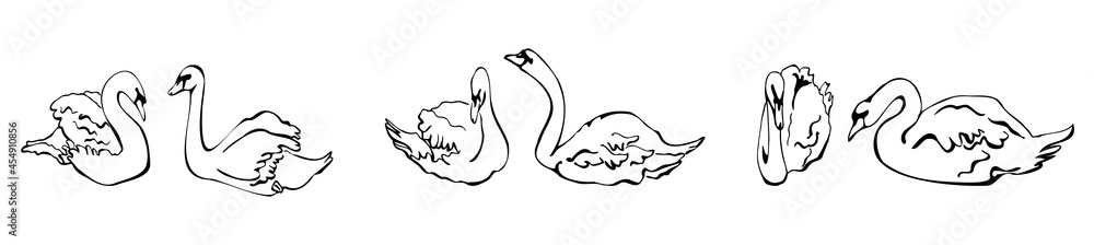 horizontal border with three pairs of swans on the water. Vector ...