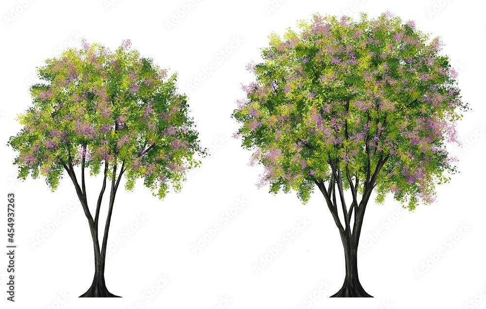 Collection of abstract watercolor tree top view isolated on white ...