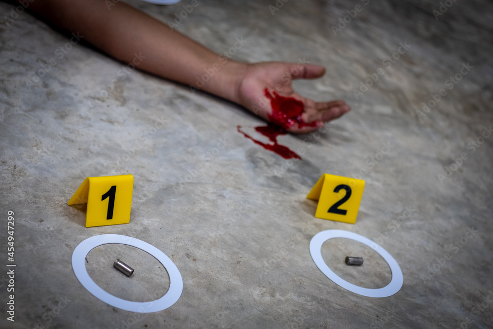 forensic inspector highlighting the shells of a gun at the crime scene ...