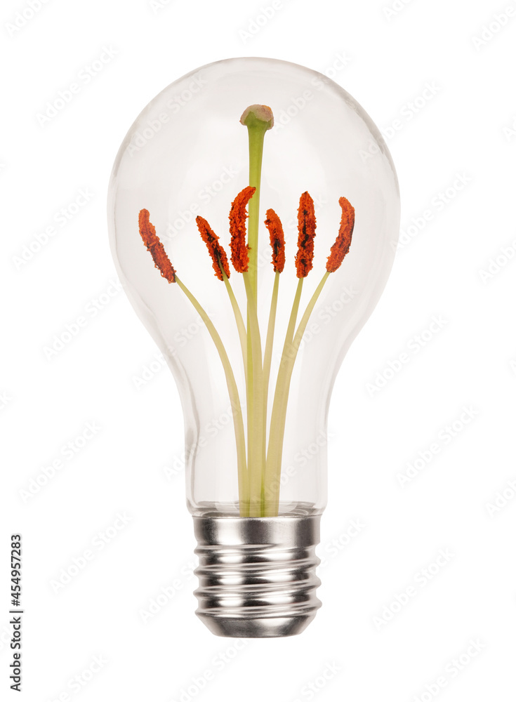 Classic incandescent light bulb with pollen tube and stamen anthers ...