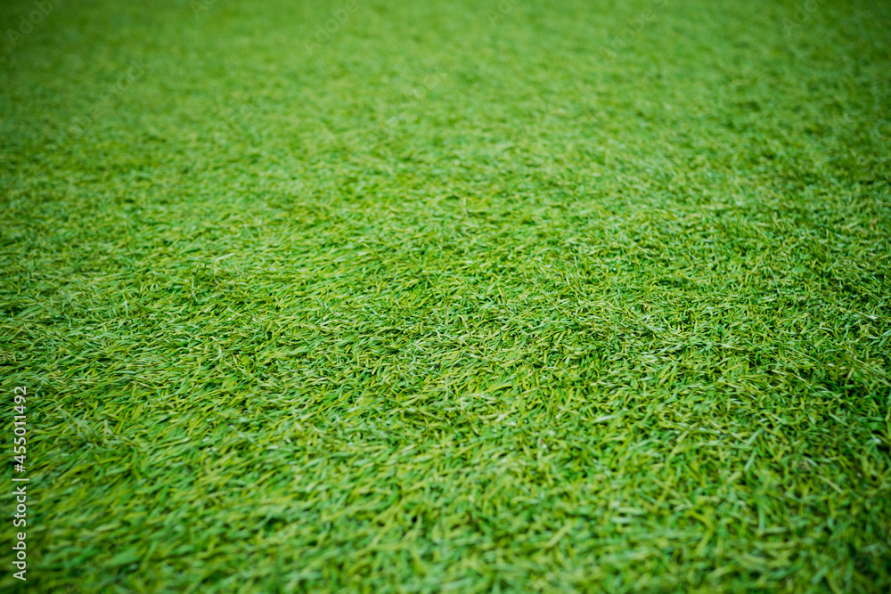 grass field background, green nature Stock Photo | Adobe Stock